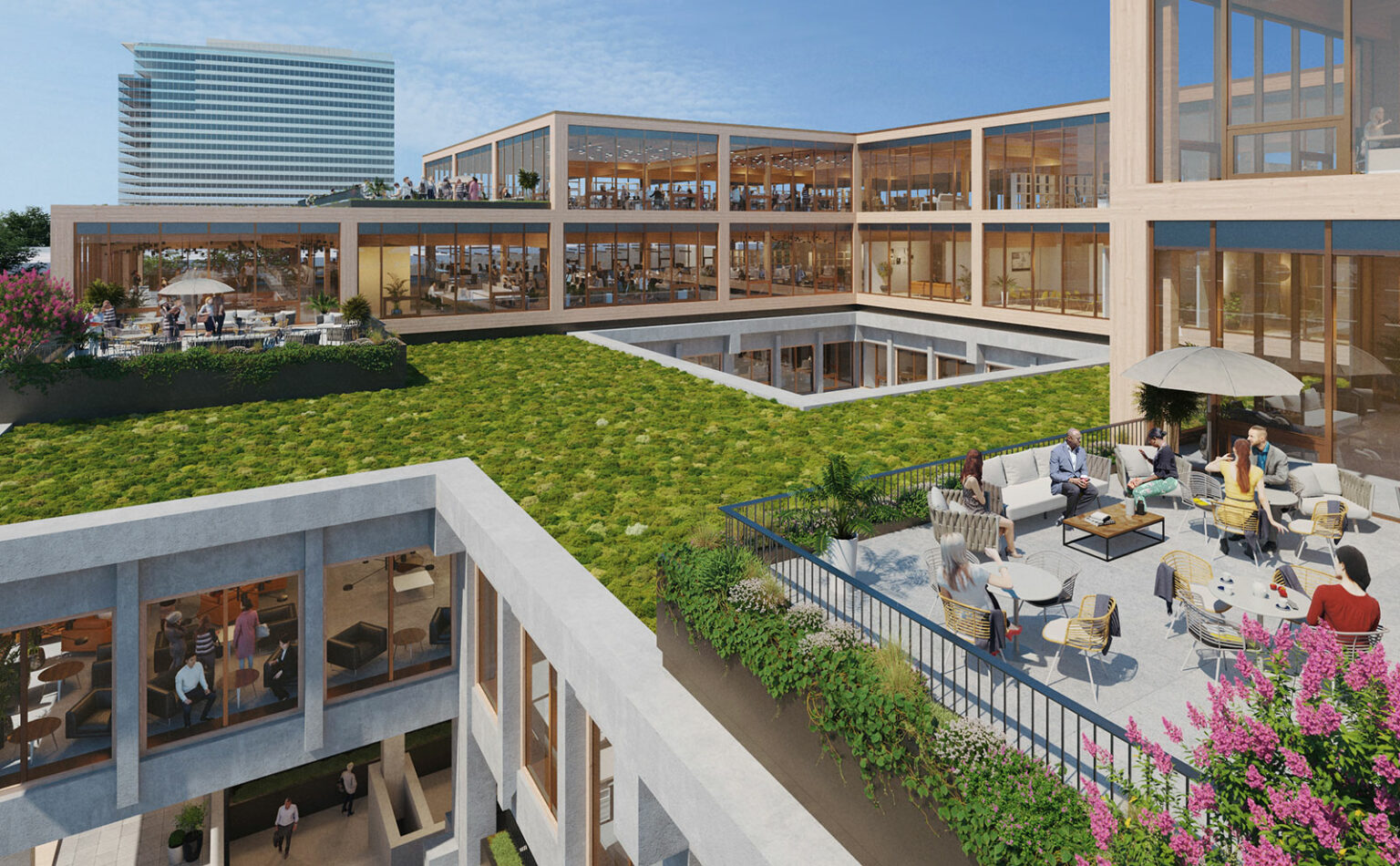 Real Estate Investment and Development Firm. | RocaPoint Partners